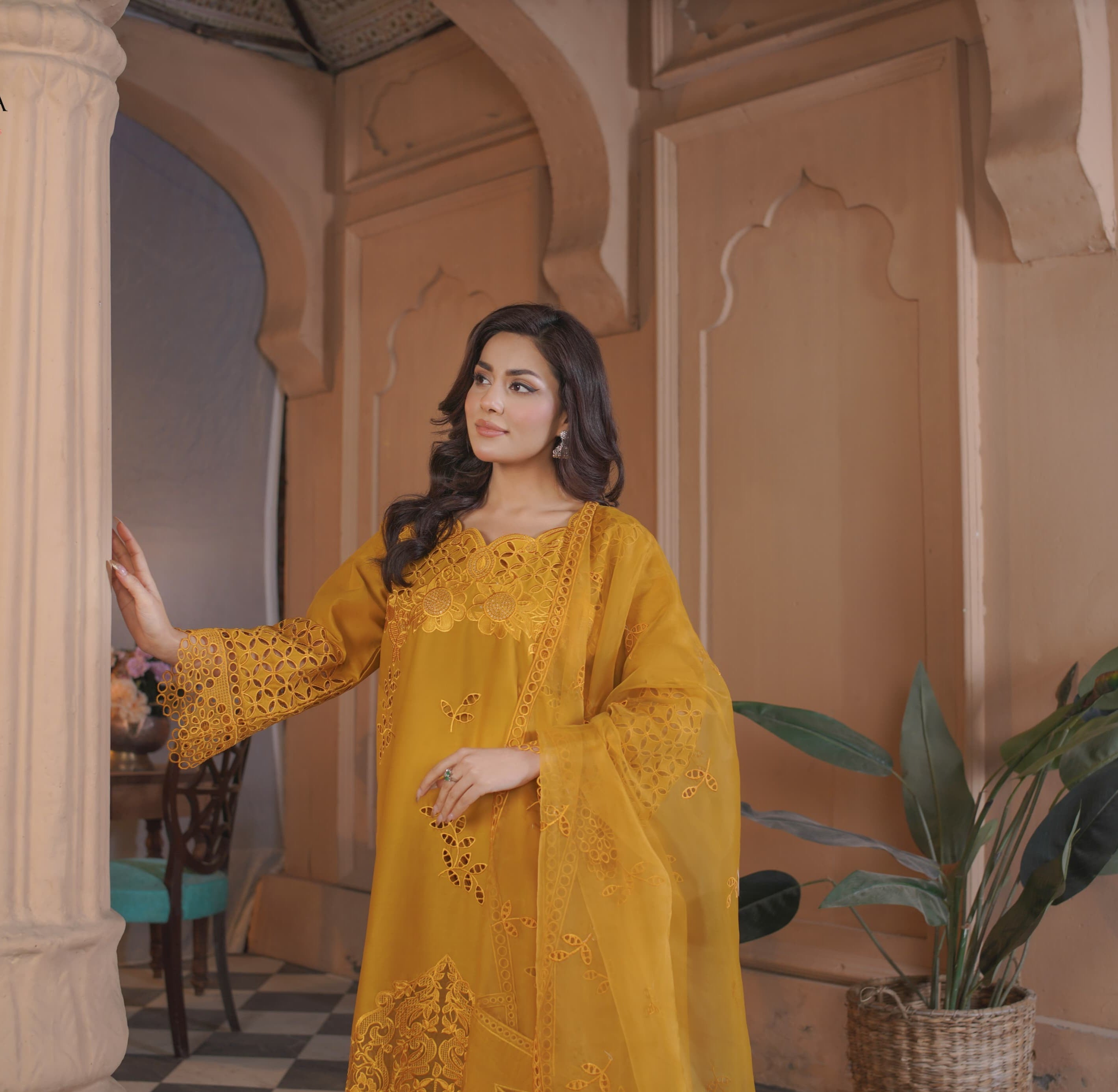 Luxury Embroidered Dresses – Noor-e-Libaas